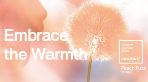 Pantone Color of the Year 2024: Introducing Peach Fuzz - Fabulous after 40