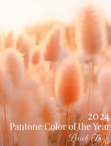 Pantone Color of the Year 2024: Introducing Peach Fuzz - Fabulous after 40